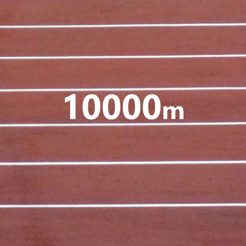 3000m Steeplechase - Track Analysis